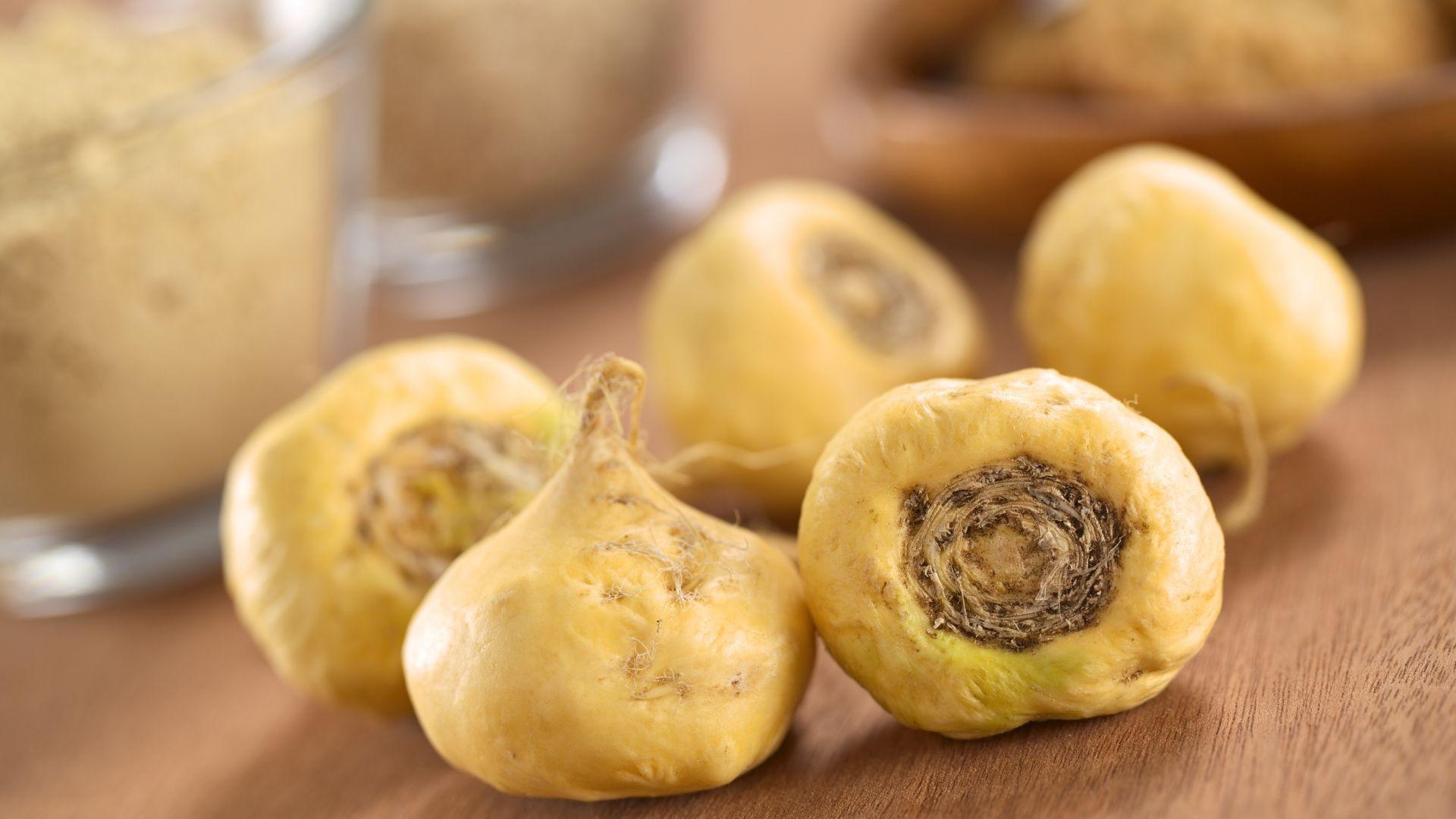 Maca : bienfaits et utilisation - Le Mag NaturAvignon